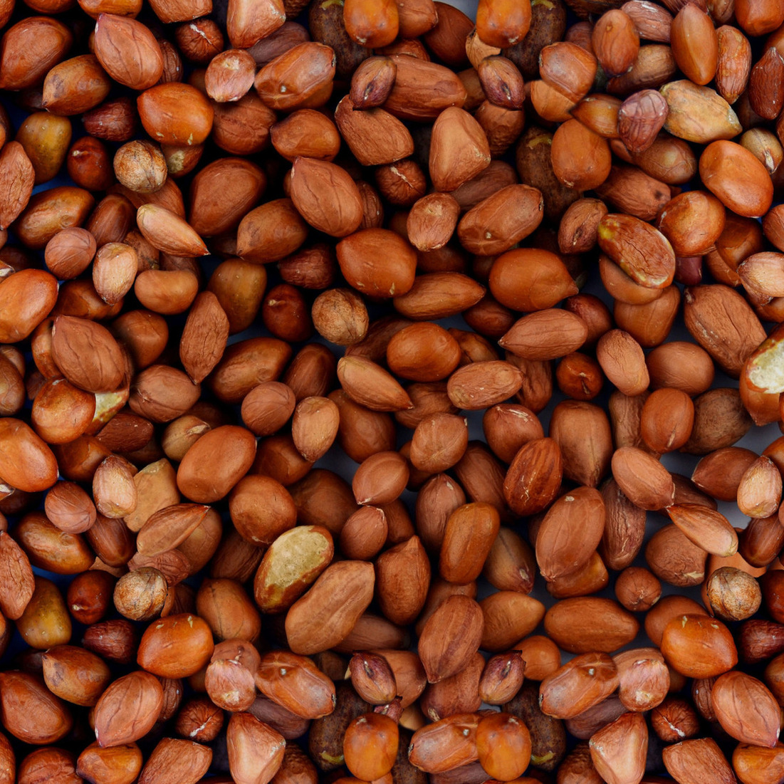 Egypte | Base Organic Food